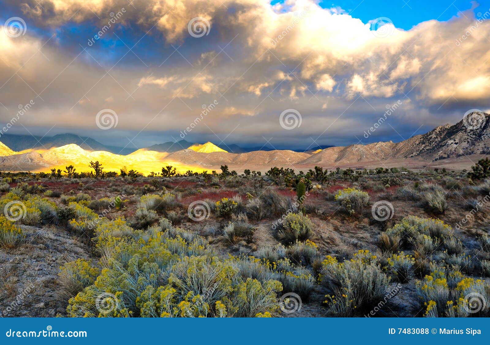 Desert Scene in Fall stock photo. Image of fall, granite - 7483088