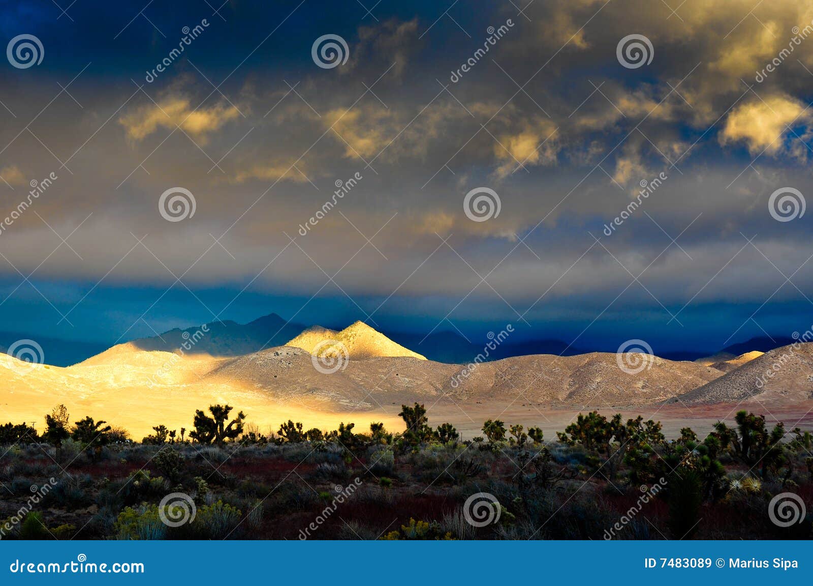 Desert Scene in Fall stock image. Image of color, rusty - 7483089