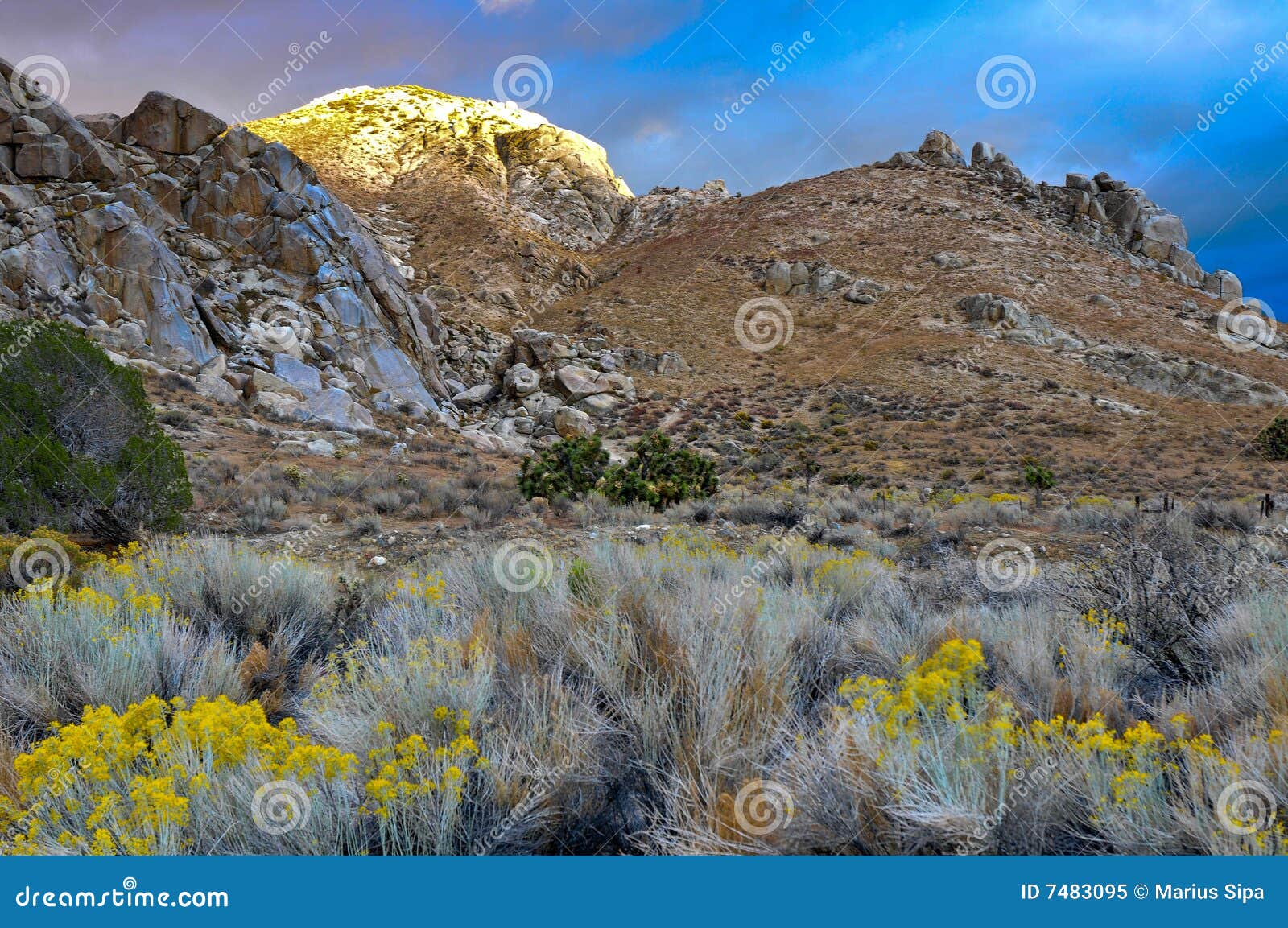 Desert Scene in Fall stock image. Image of ground, spring - 7483095
