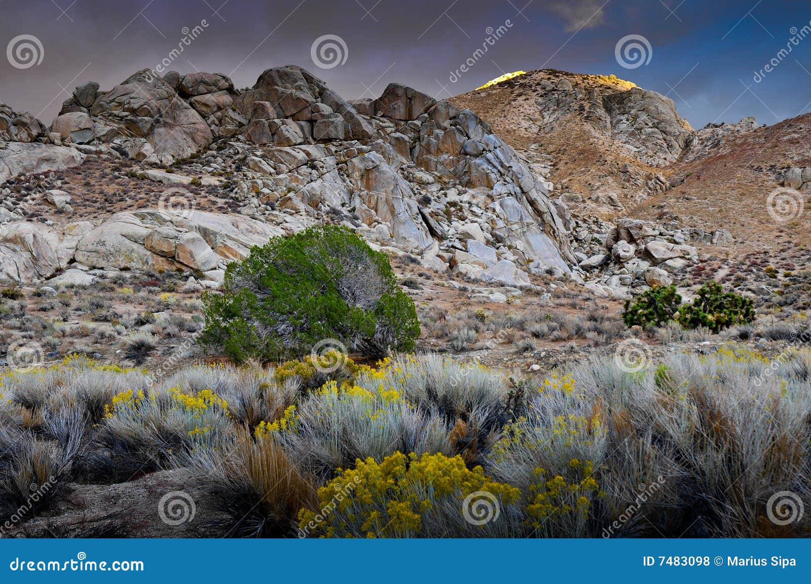 Desert Scene in Fall stock photo. Image of creek, earth - 7483098