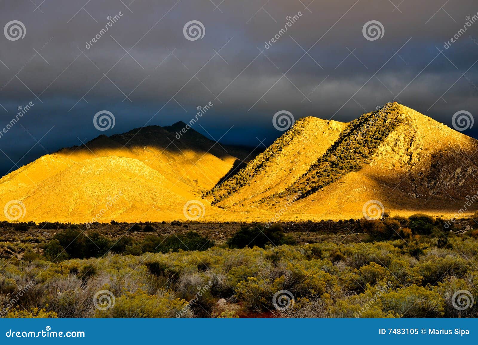 Desert Scene in Fall stock image. Image of colors, ecology - 7483105