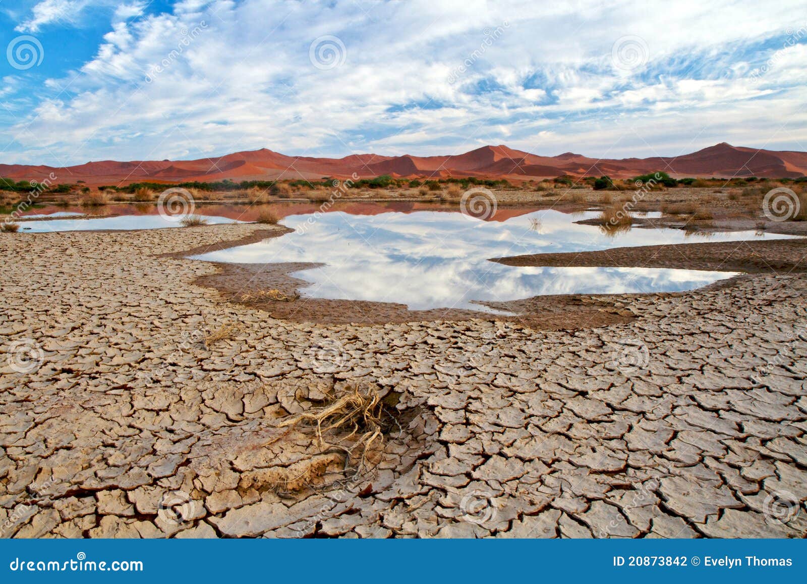 Desert scene with water stock photo. Image of mountains - 20873842