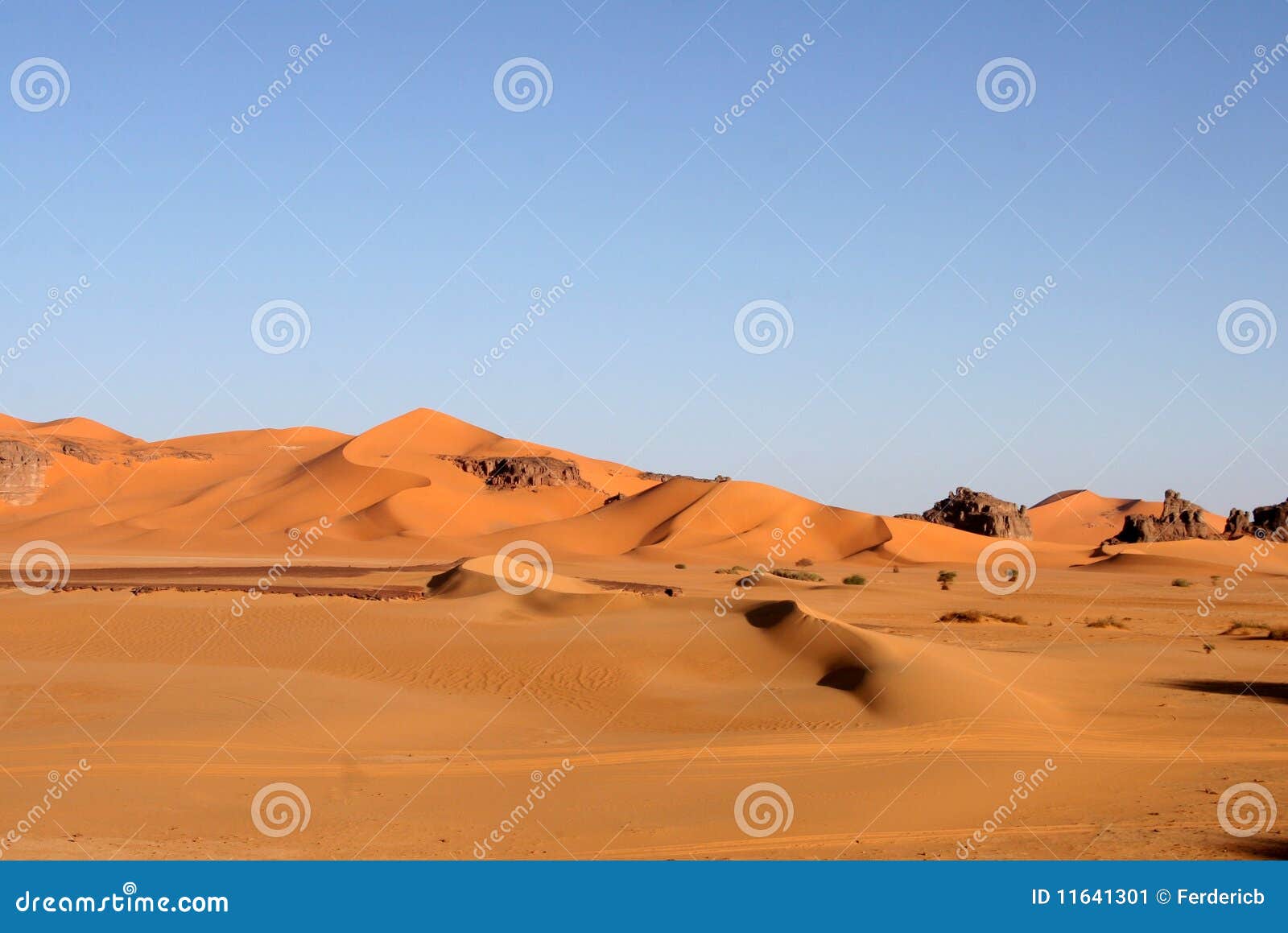 Desert scenes15 stock image. Image of dune, maghreb, sahara - 11641301