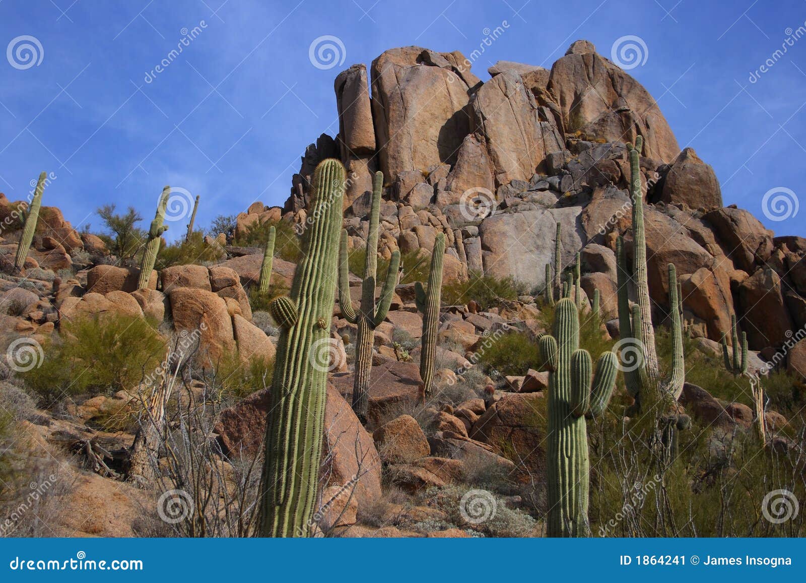 Desert Scenic with Big Boulder Stock Image - Image of carefree, bushes ...