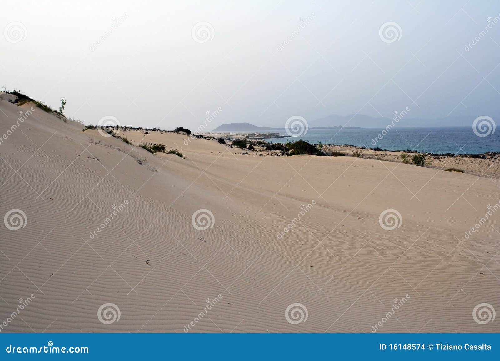 Desert and sea stock photo. Image of ocean, canary, sand - 16148574