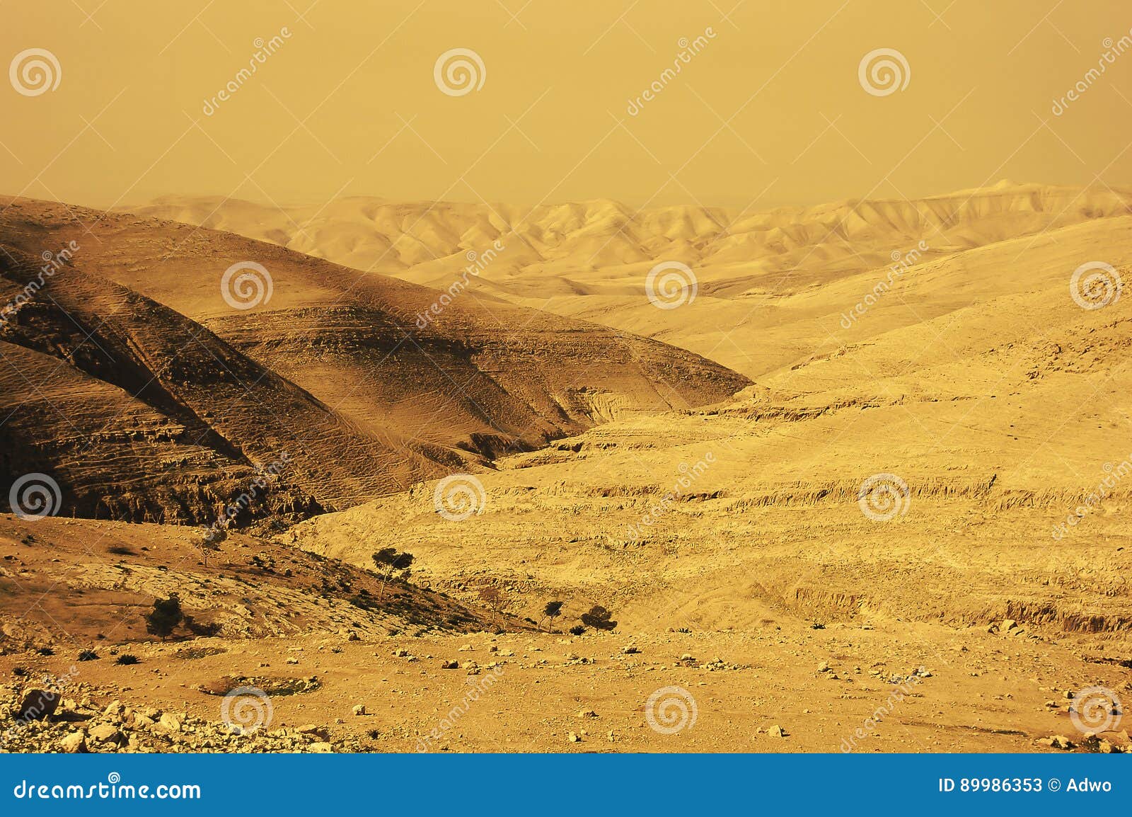 Desert - Filter Coffee Cornetto, Chocolate Ganache, Salted Caramel Ice ...