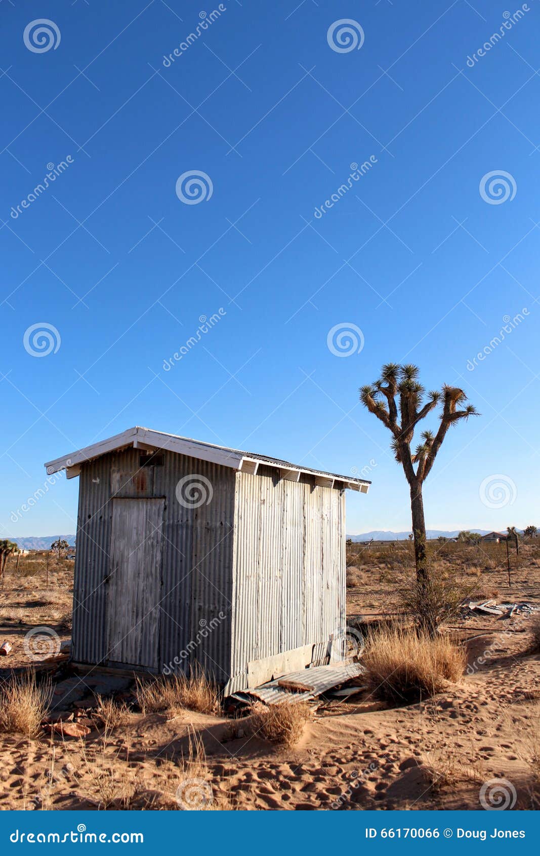 Desert Shack stock photo. Image of tree, shack, sand - 66170066