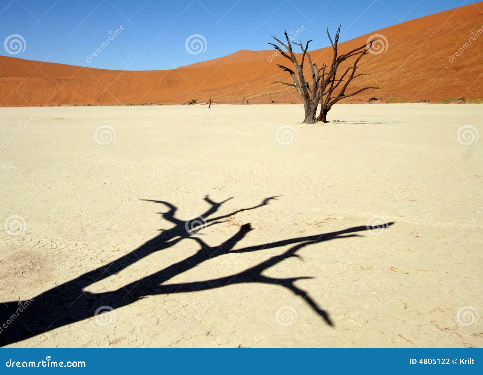 Desert Shadow stock photo. Image of sand, lost, namibia - 4805122