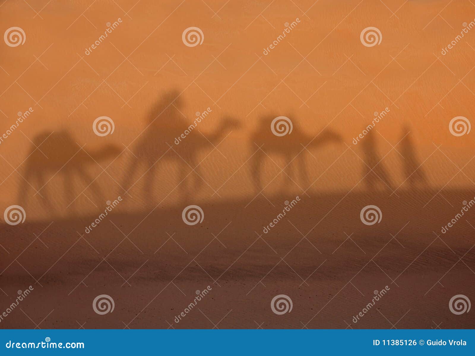 Desert shadows stock photo. Image of trek, caravan, merzouga - 11385126