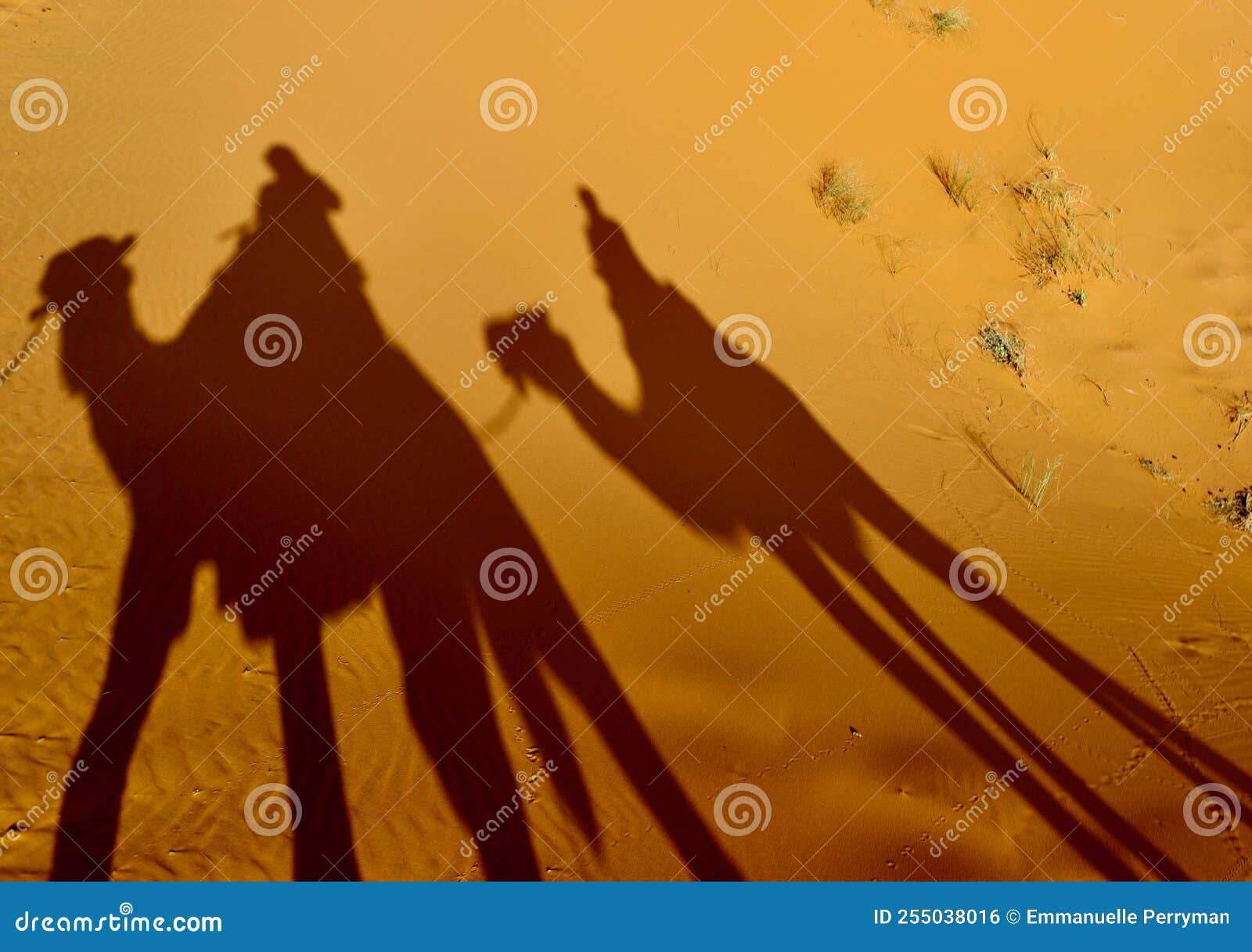 Sahara Desert Shadows in Africa. Stock Photo - Image of people, desert ...