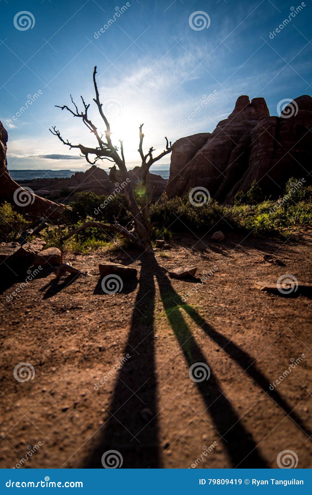 Desert shadows. stock image. Image of outdoors, season - 79809419