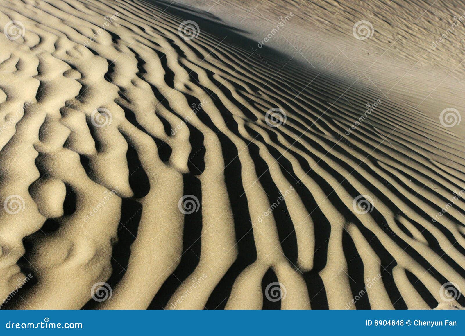 Desert shape stock photo. Image of curves, china, sand - 8904848