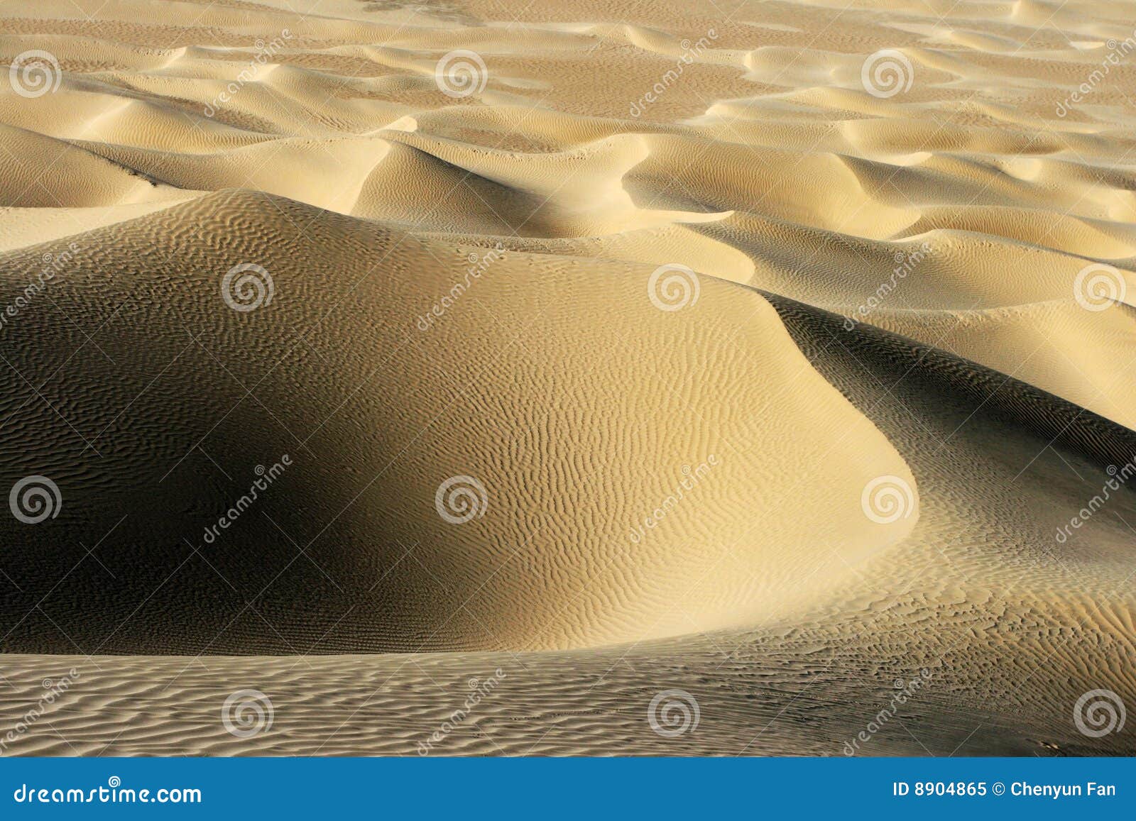 Desert shape stock image. Image of sand, textured, pattern - 8904865