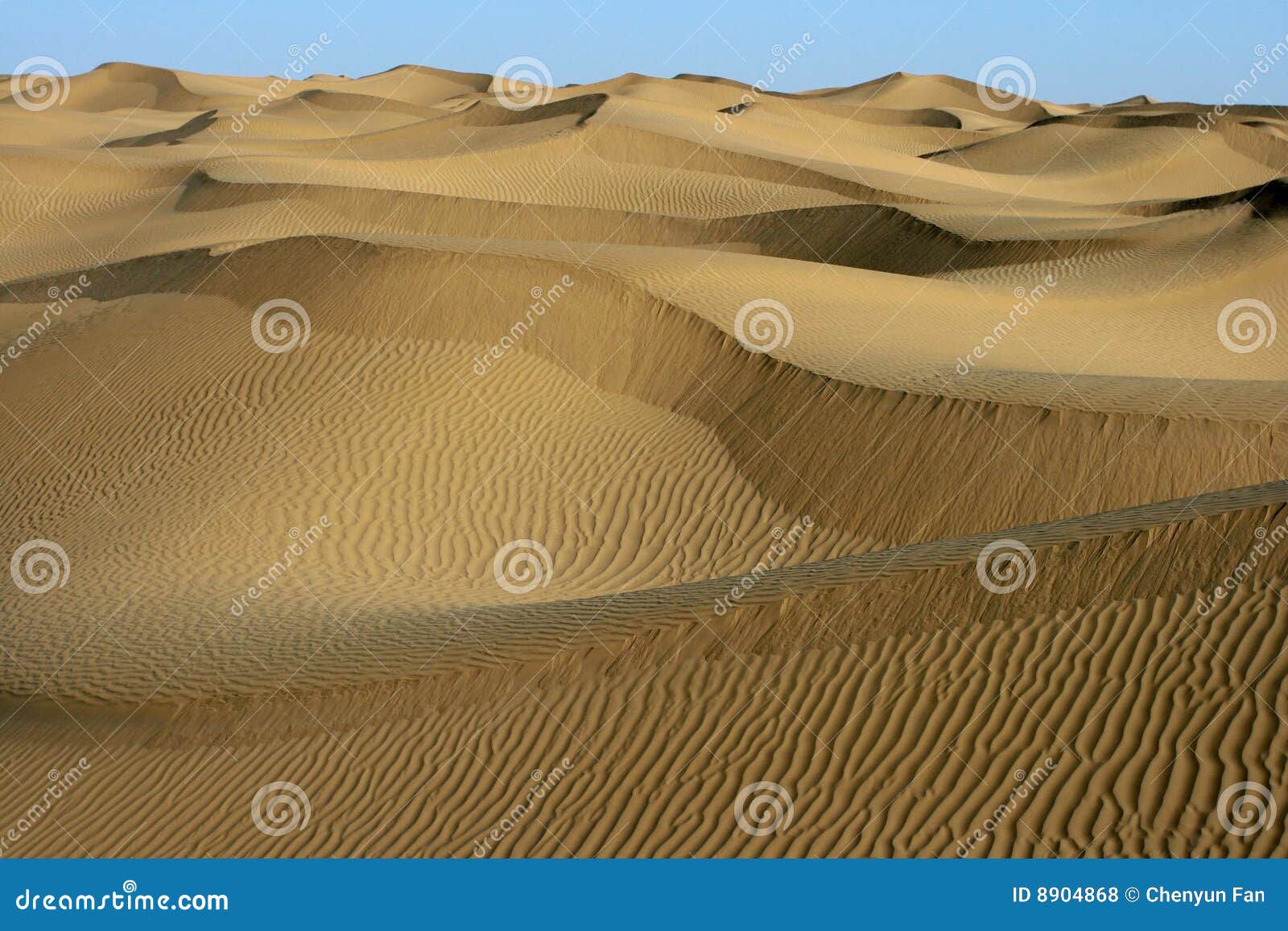 Desert shape stock photo. Image of arid, adventure, travel - 8904868