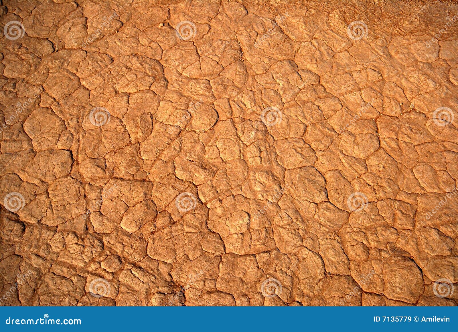 Desert skin stock image. Image of piece, travelling, brown - 7135779
