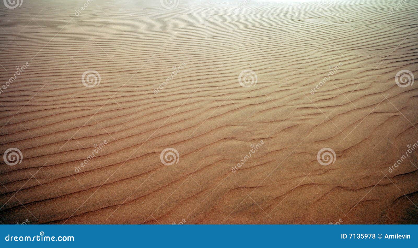 Desert skin stock photo. Image of global, waves, brown - 7135978