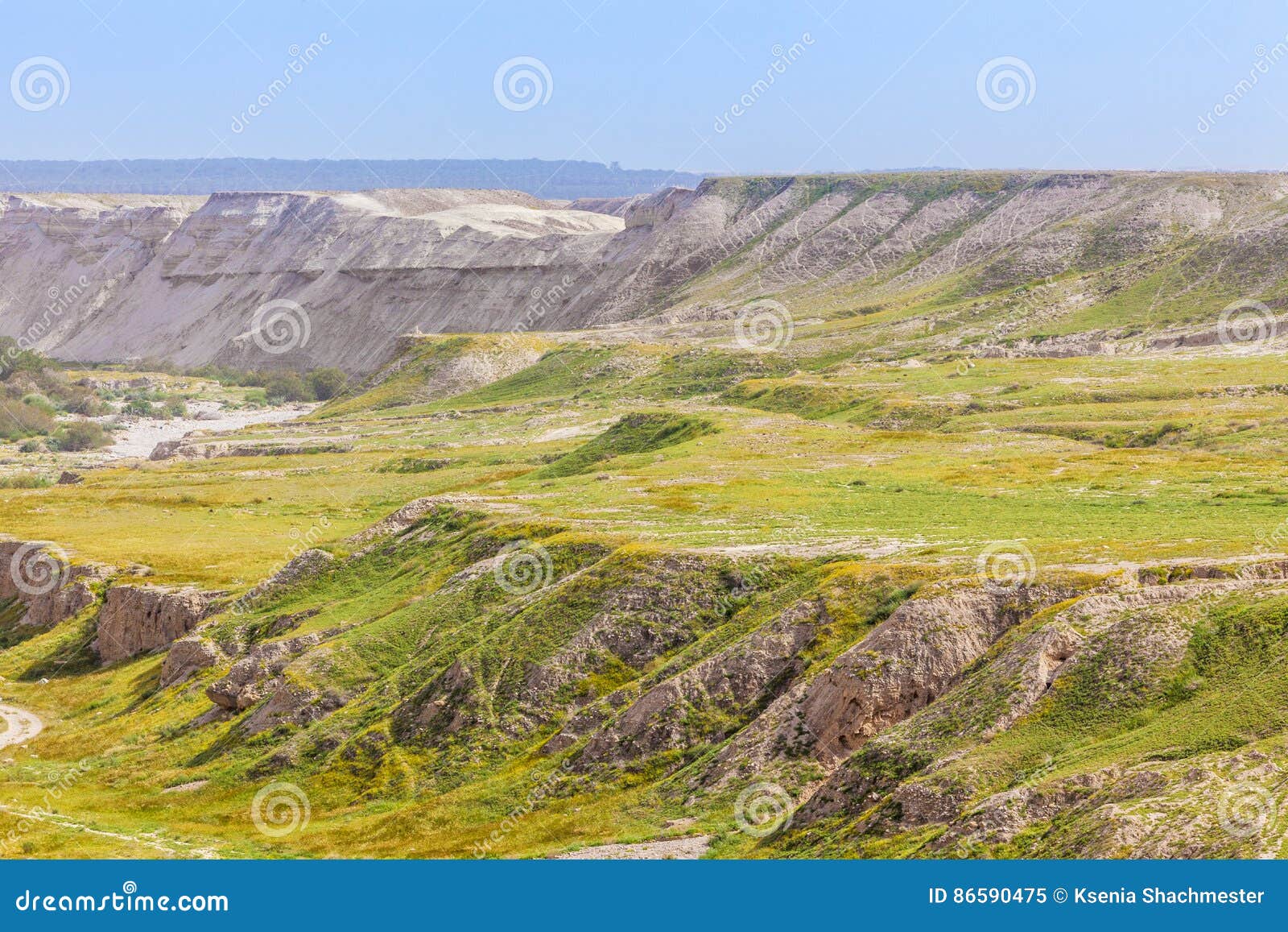 Desert Slopes with Vegetation at Spring Stock Image - Image of covered ...