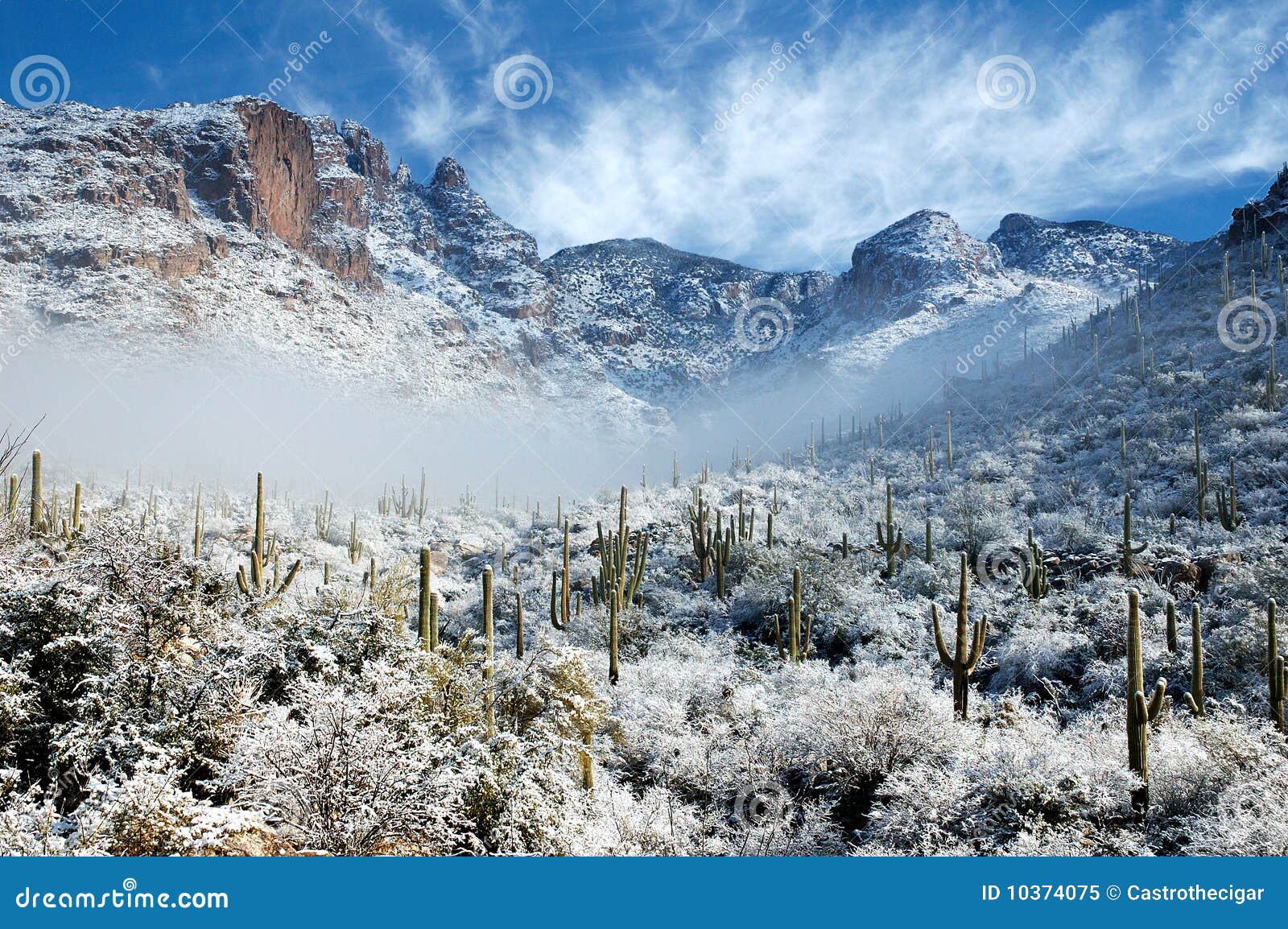 Desert snowfall stock image. Image of green, scenery - 10374075
