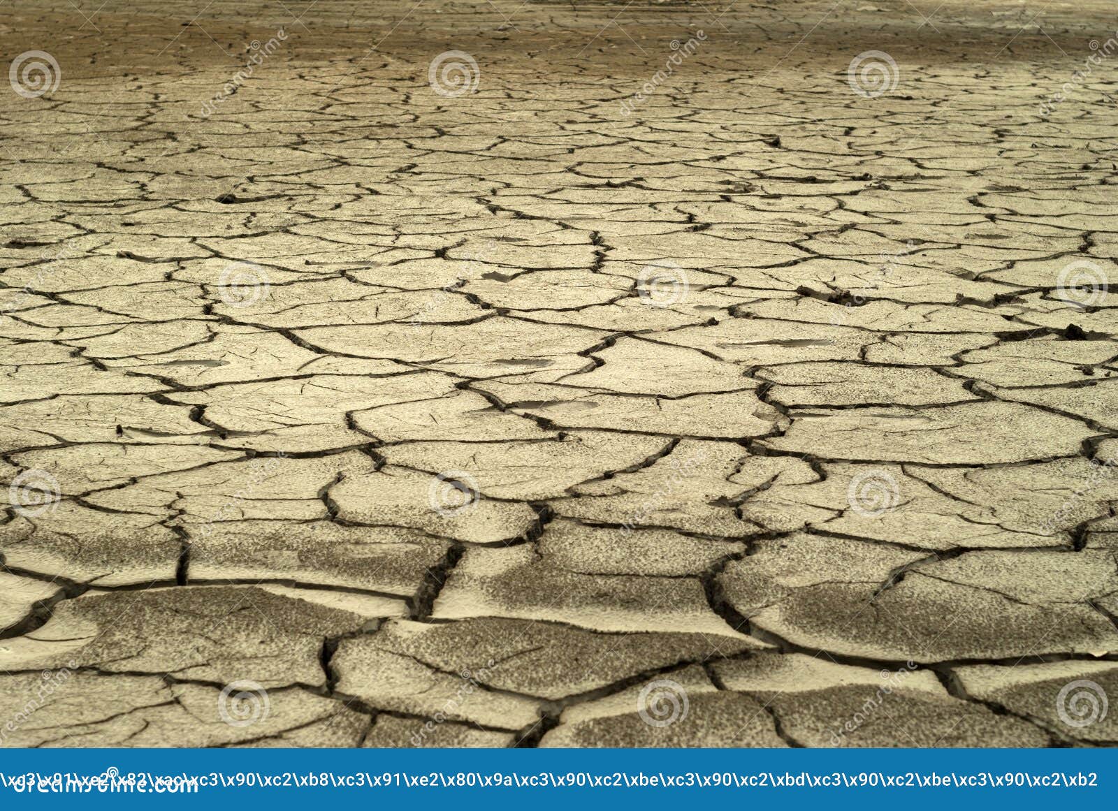 Desert Soil with Cracks Pattern on Dry Clay Stock Photo - Image of poor ...