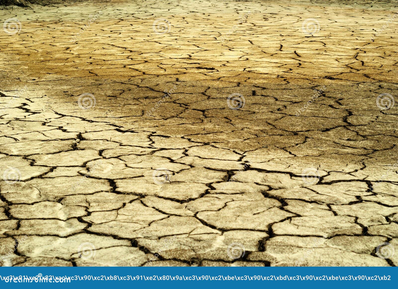 Desert Soil with Cracks Pattern on Dry Clay Stock Image - Image of ...