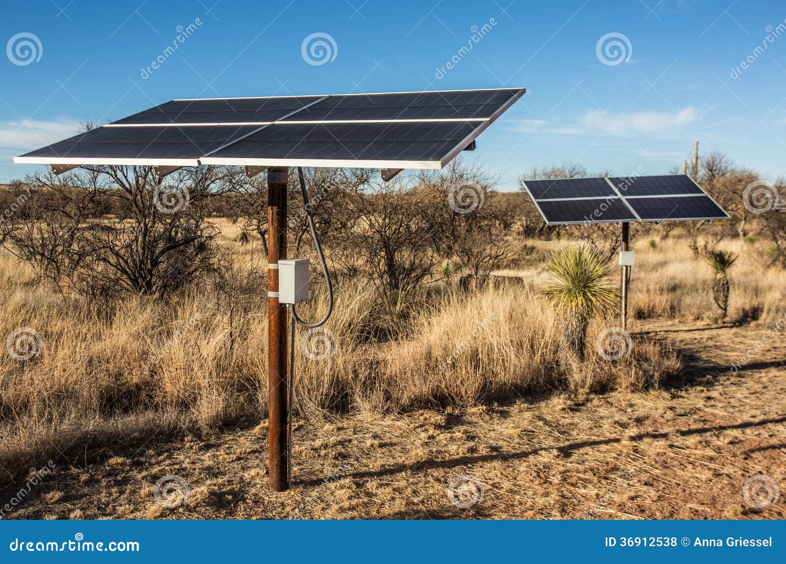 Desert Solar Panels stock photo. Image of pole, energy - 36912538