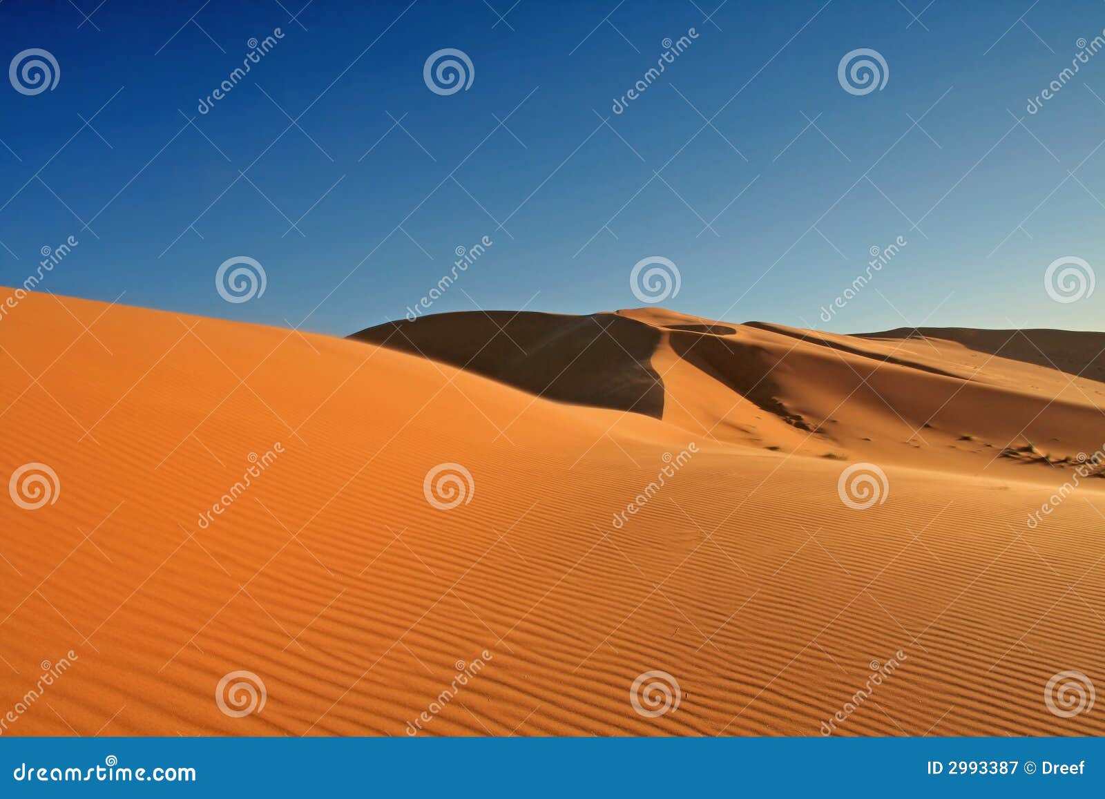 Desert of solitude stock image. Image of nomadic, saharan - 2993387