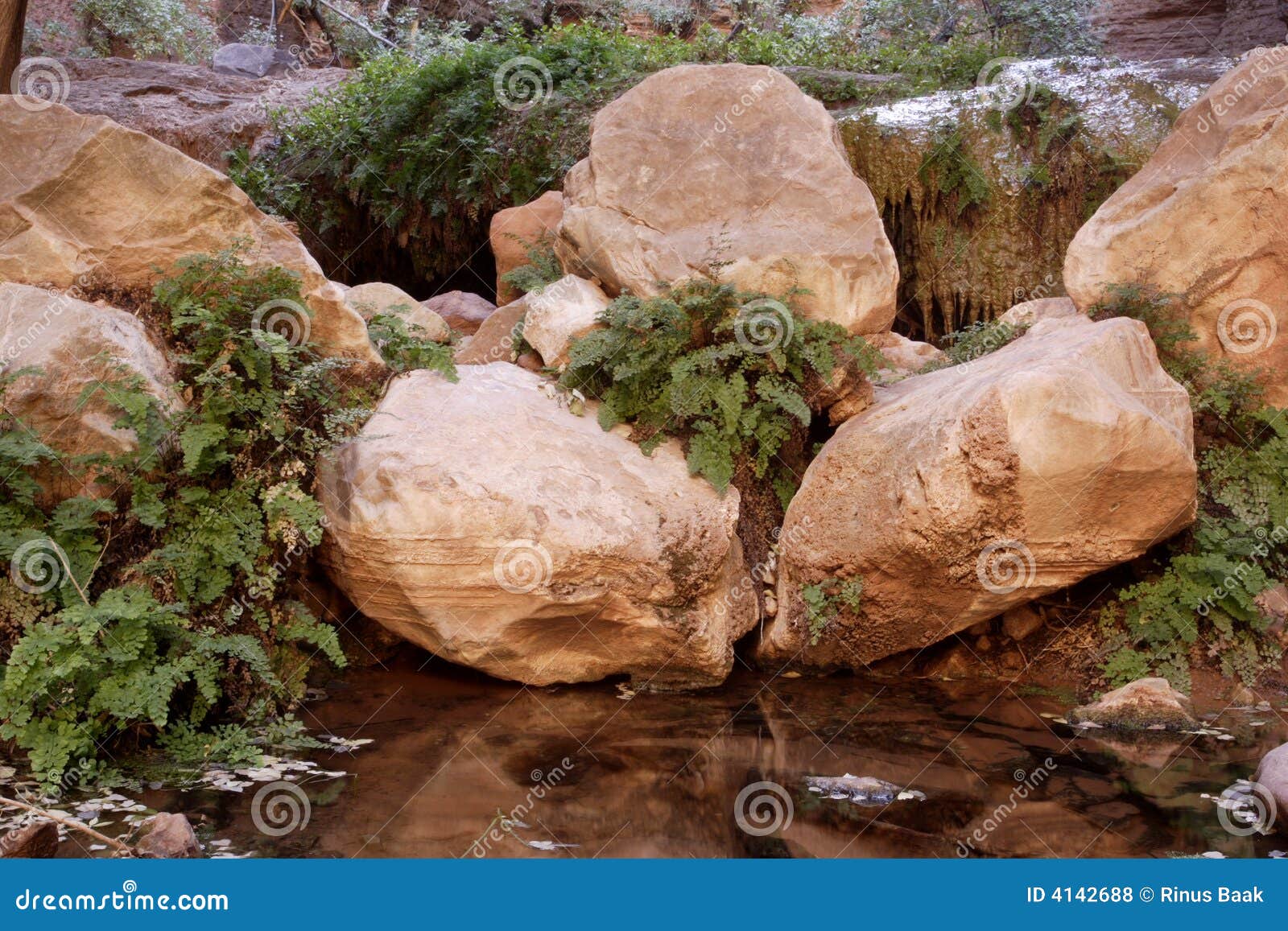 Desert Spring stock photo. Image of boulders, southwest - 4142688