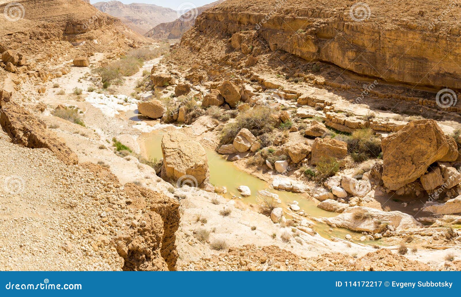 Desert Spring Lake Pit Deep Canyon Cliffs Landscape View. Stock Image ...