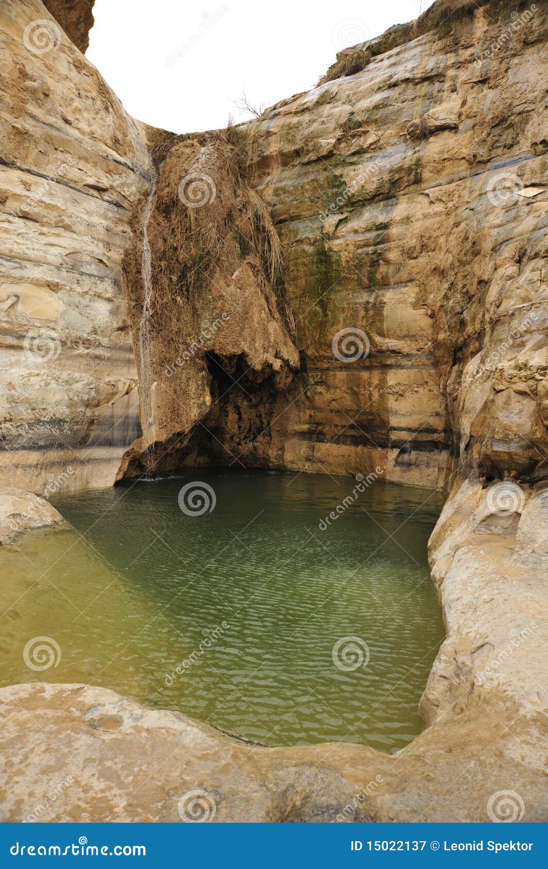 Desert spring in Negev. stock image. Image of river, rock - 15022137