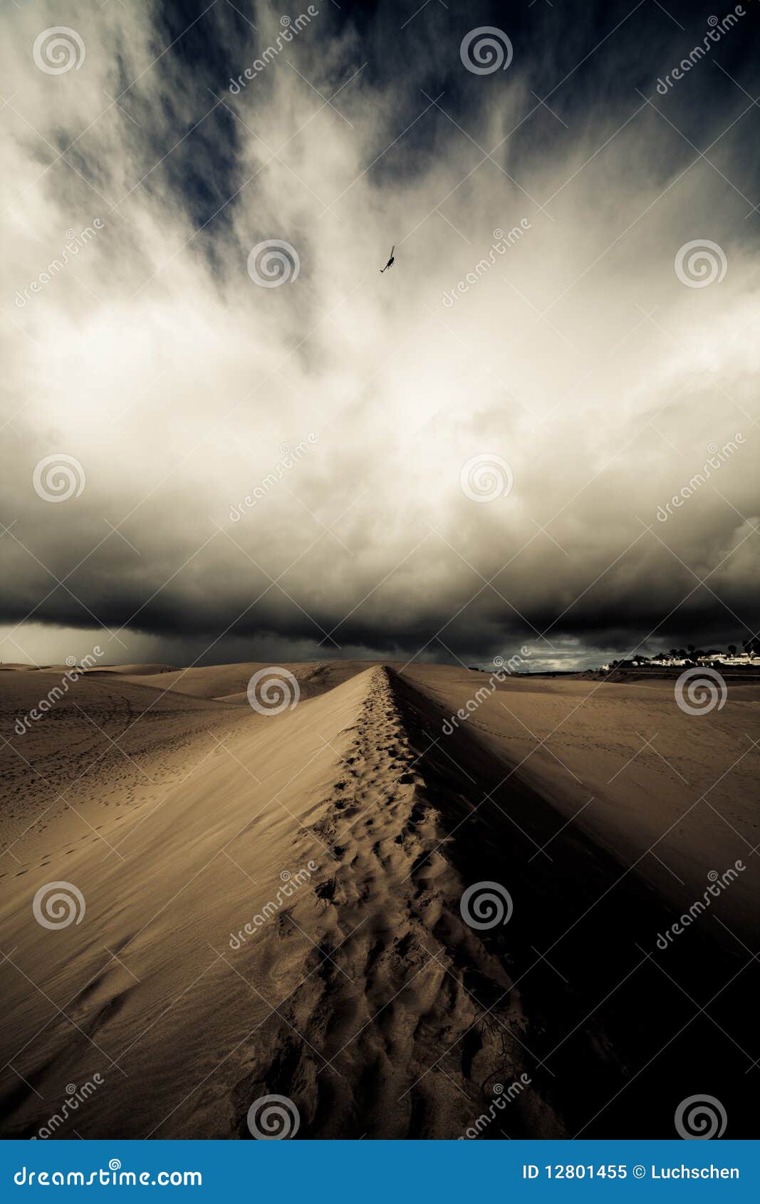 Desert Storm stock image. Image of africa, majestic, environment - 12801455