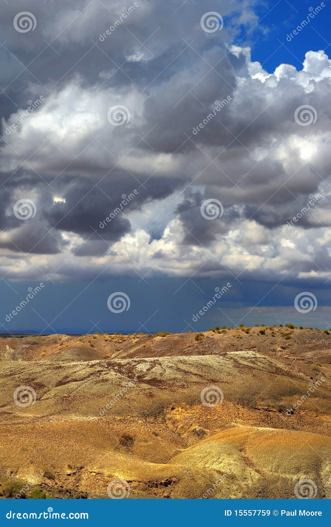 Desert Storm stock image. Image of extreme, dramatic - 15557759