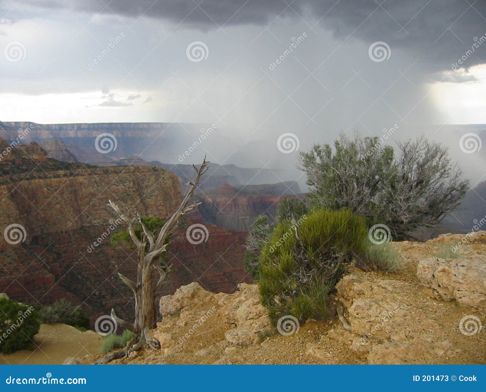 Desert Storm stock image. Image of storm, rain, national - 201473