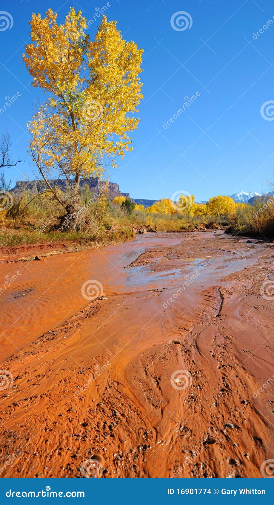 Desert Stream in Fall stock photo. Image of orange, gravel - 16901774