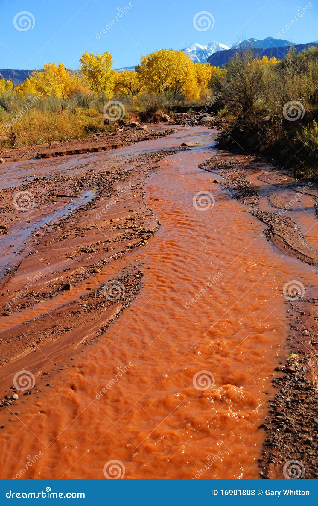 Desert Stream in Fall stock photo. Image of fall, snow - 16901808
