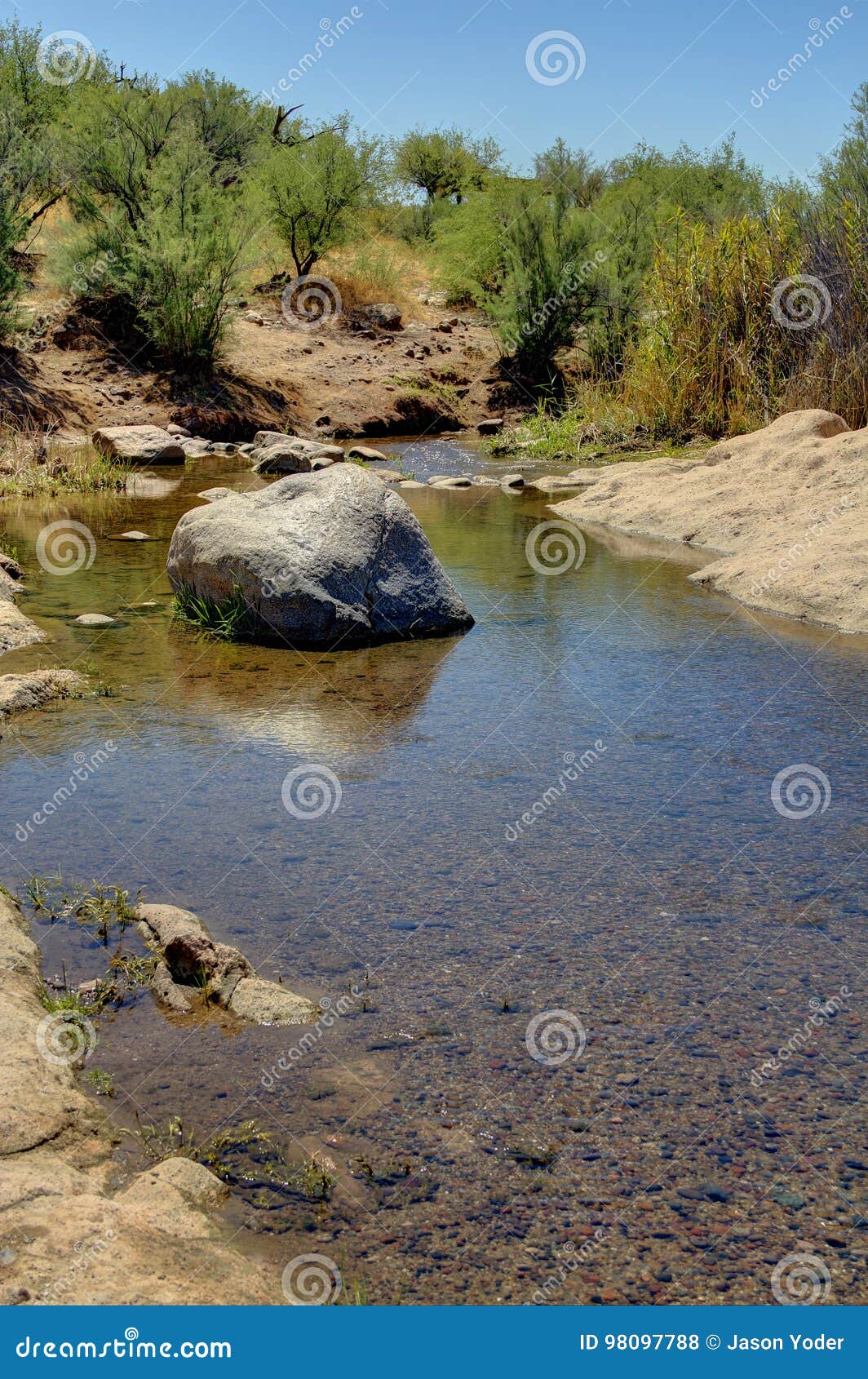 Desert Stream stock photo. Image of tree, stream, arizona - 98097788