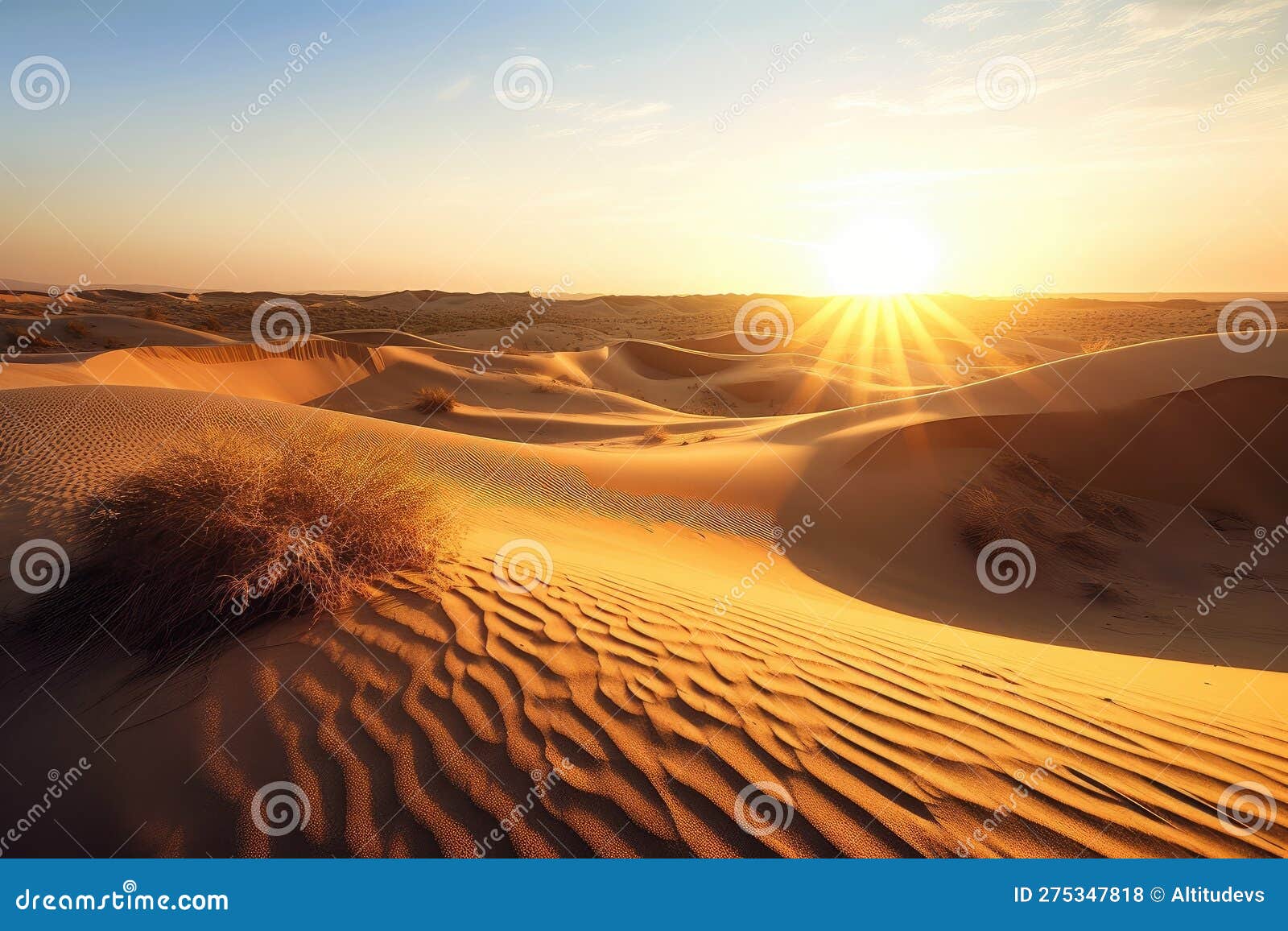 Desert with the Sun Setting Behind the Dunes, Casting a Warm and Golden ...