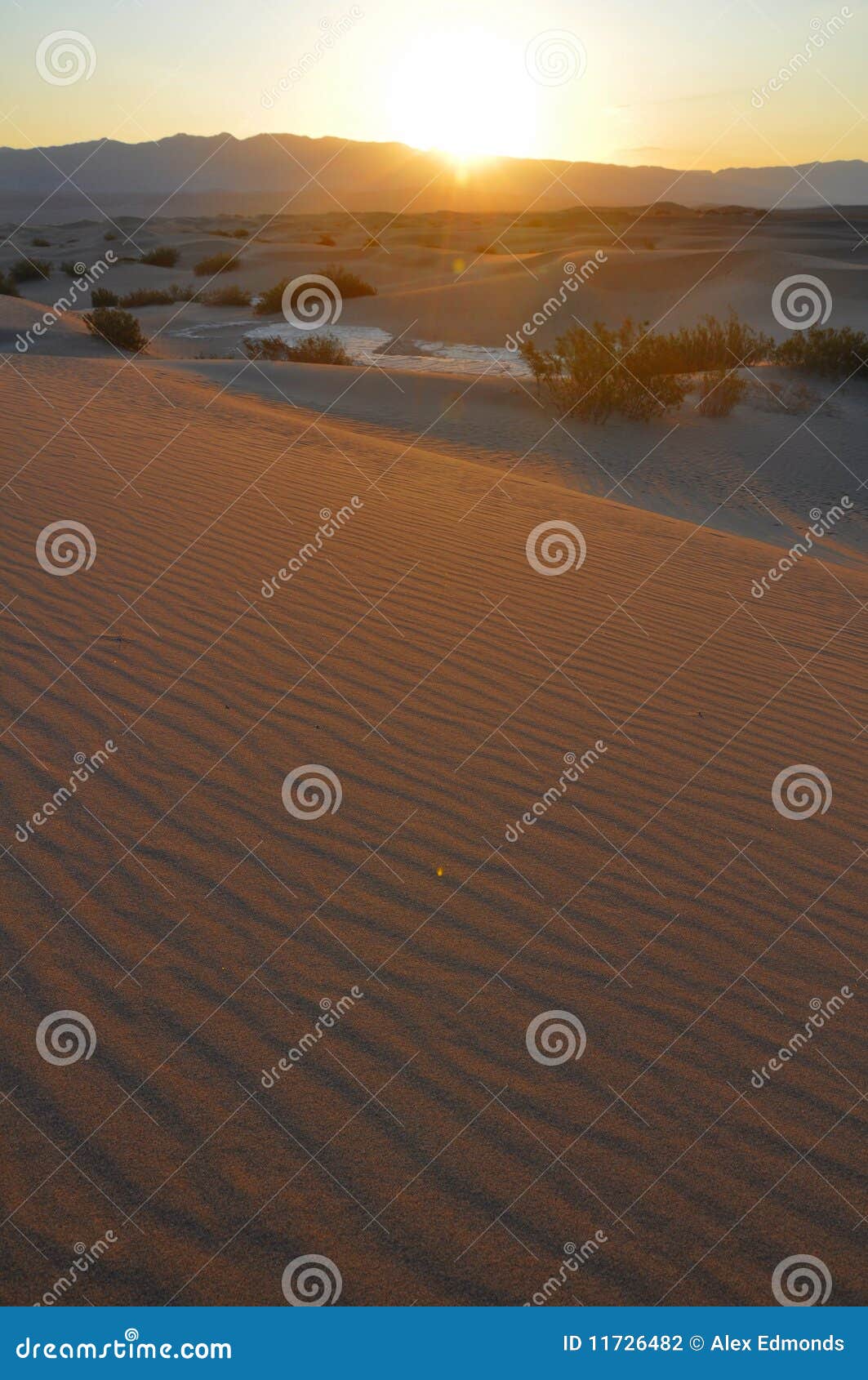 Desert Sunrise stock photo. Image of orange, landscape - 11726482