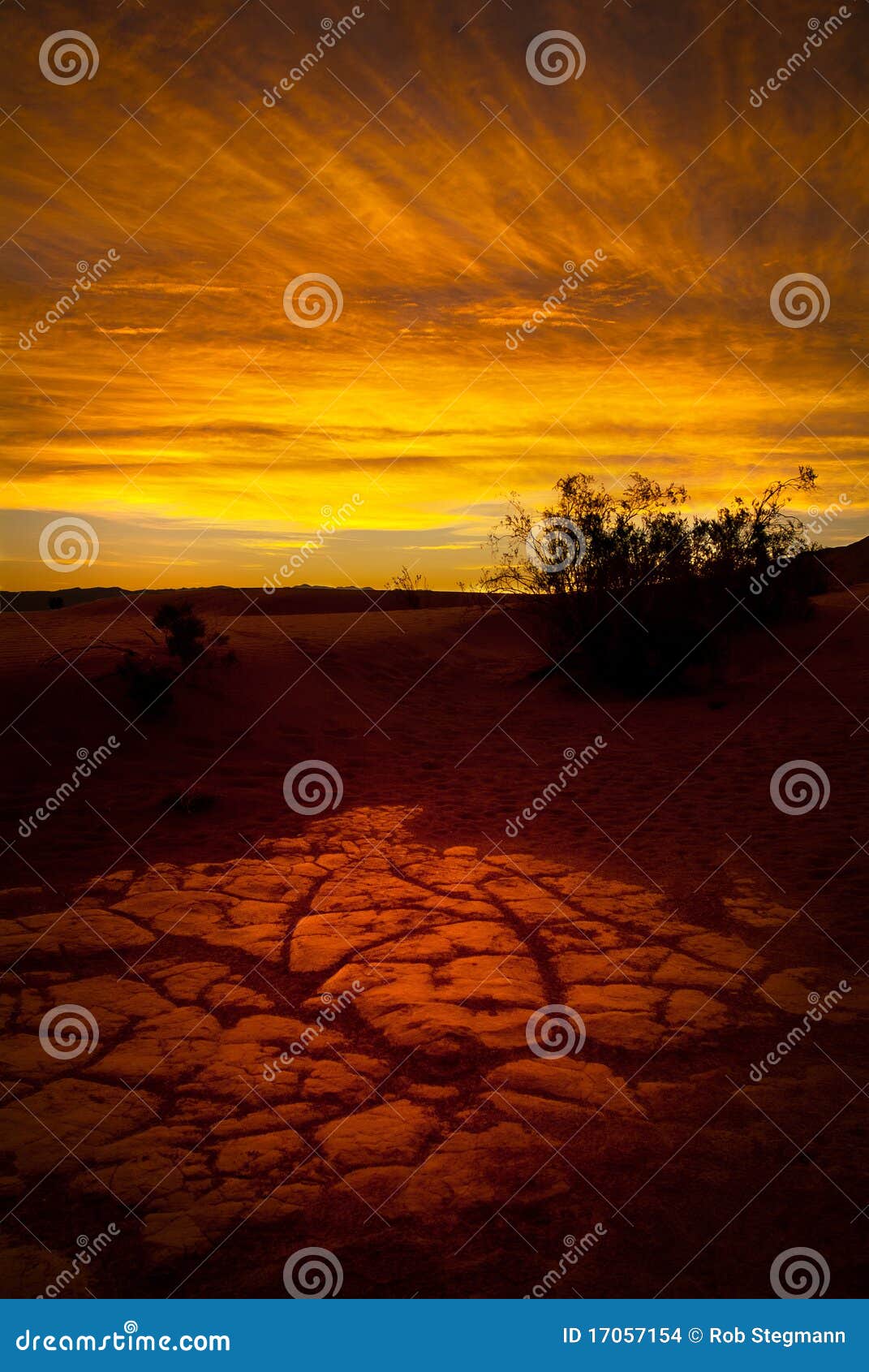 Desert sunrise stock photo. Image of early, desert, morning - 17057154