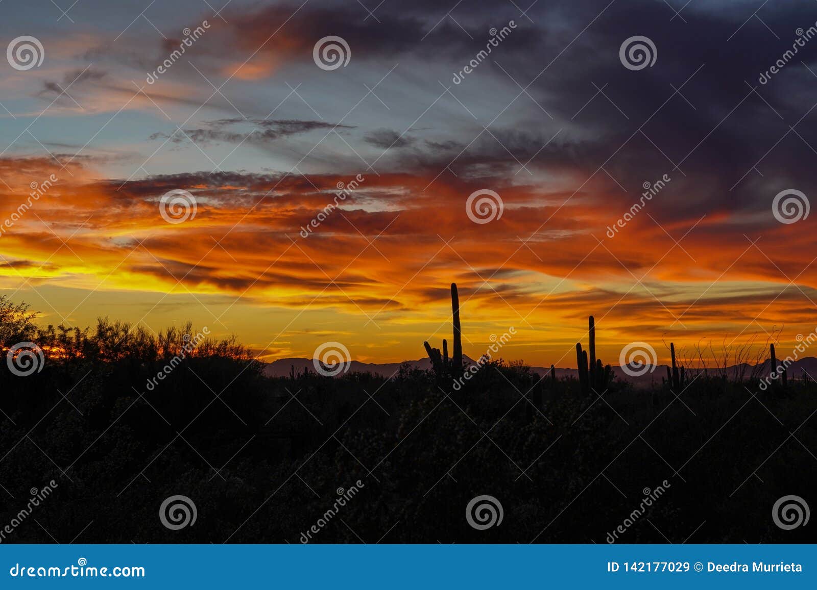 Colorful Desert Sunset in Arizona Stock Image - Image of clear, desert ...