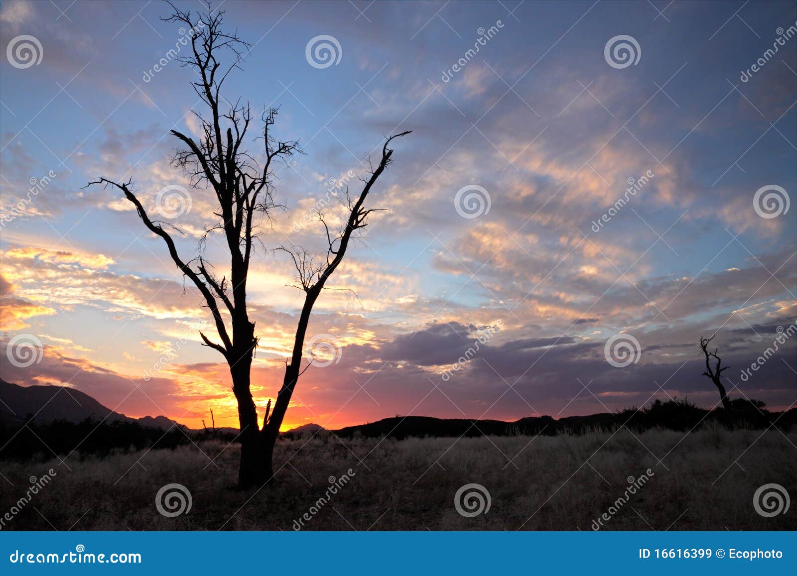 Desert sunset, Namibia stock image. Image of horizontal - 16616399