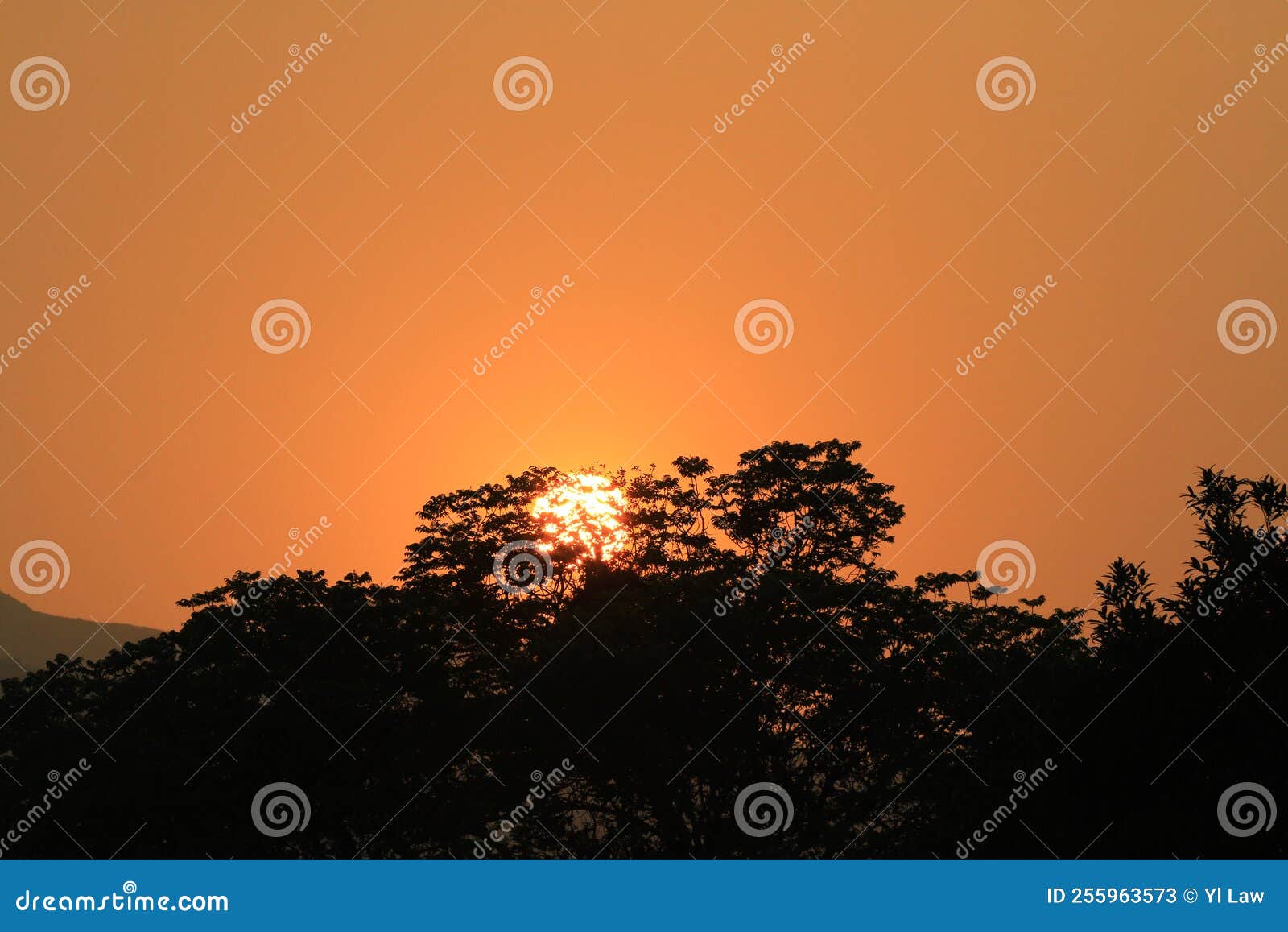 A Desert Sunset, Travel in Nature at Forrest during Sunrise Stock Image ...