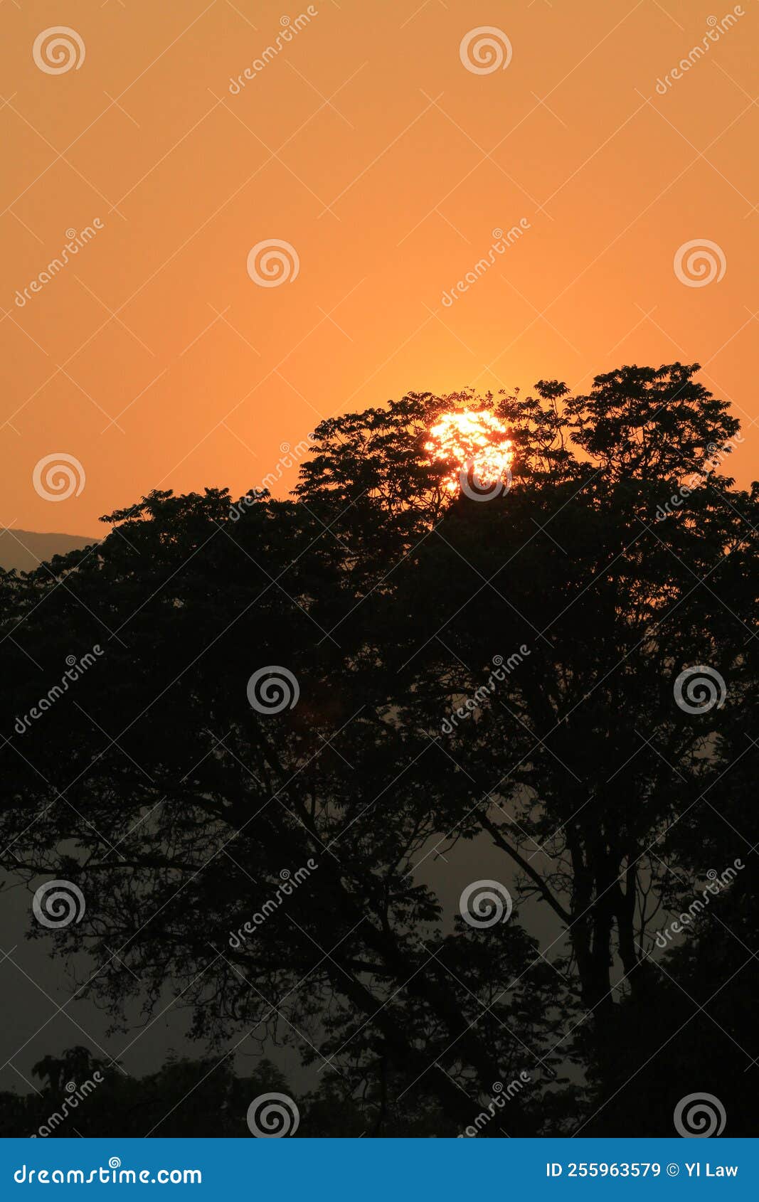 A Desert Sunset, Travel in Nature at Forrest during Sunrise Stock Image ...