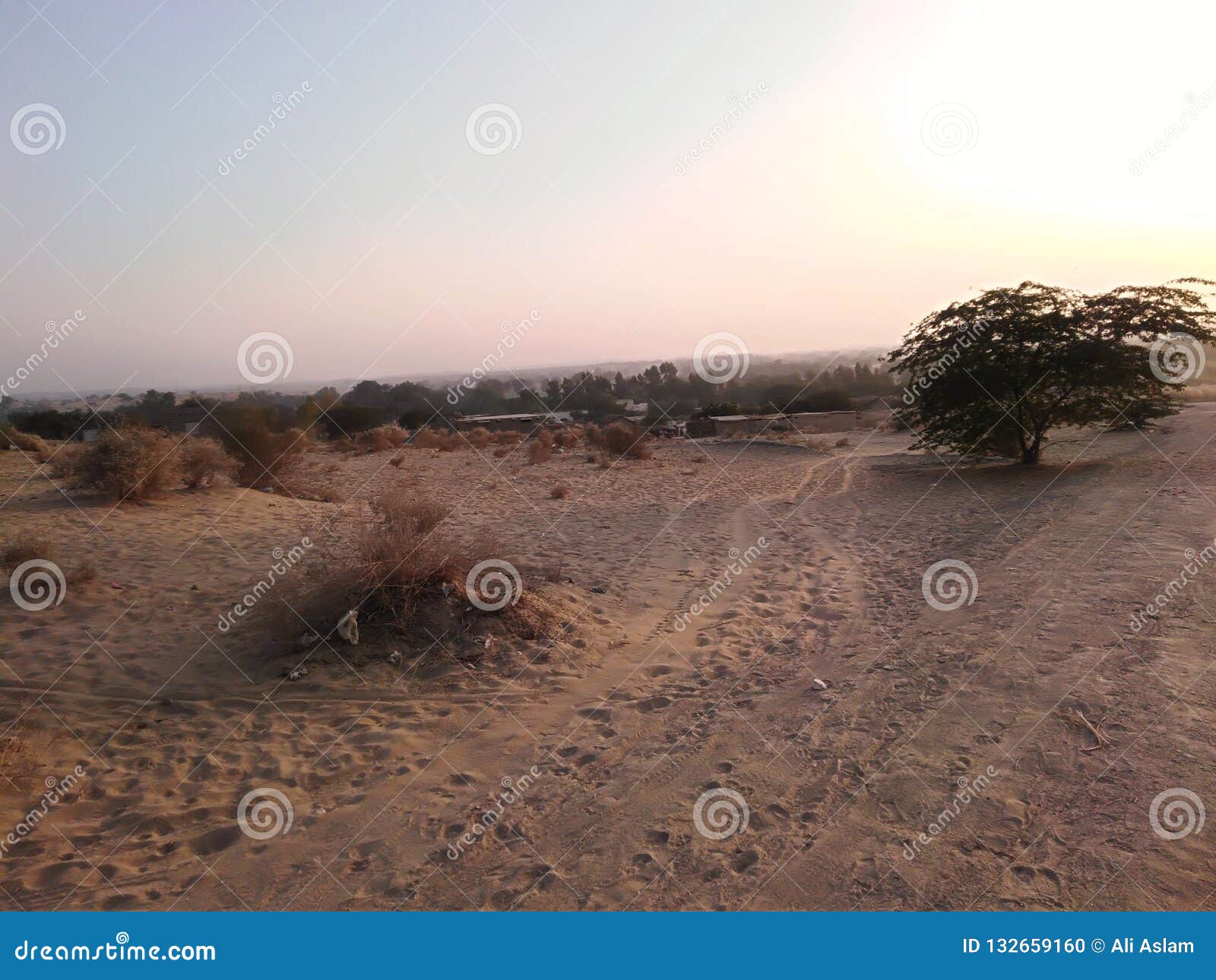 Desert stock photo. Image of thar, scenery, nature, desert - 132659160