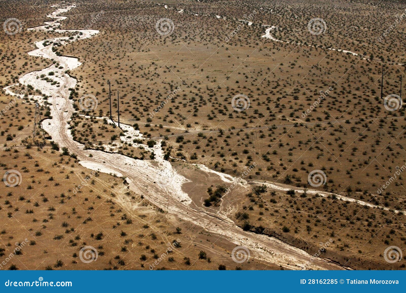 Desert the top view stock image. Image of plant, orange - 28162285