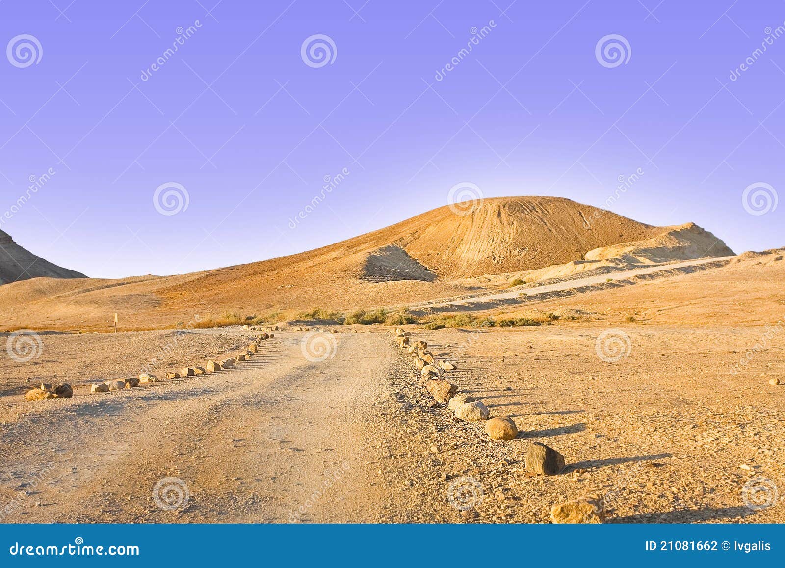 Desert track stock photo. Image of golden, nature, sunset - 21081662