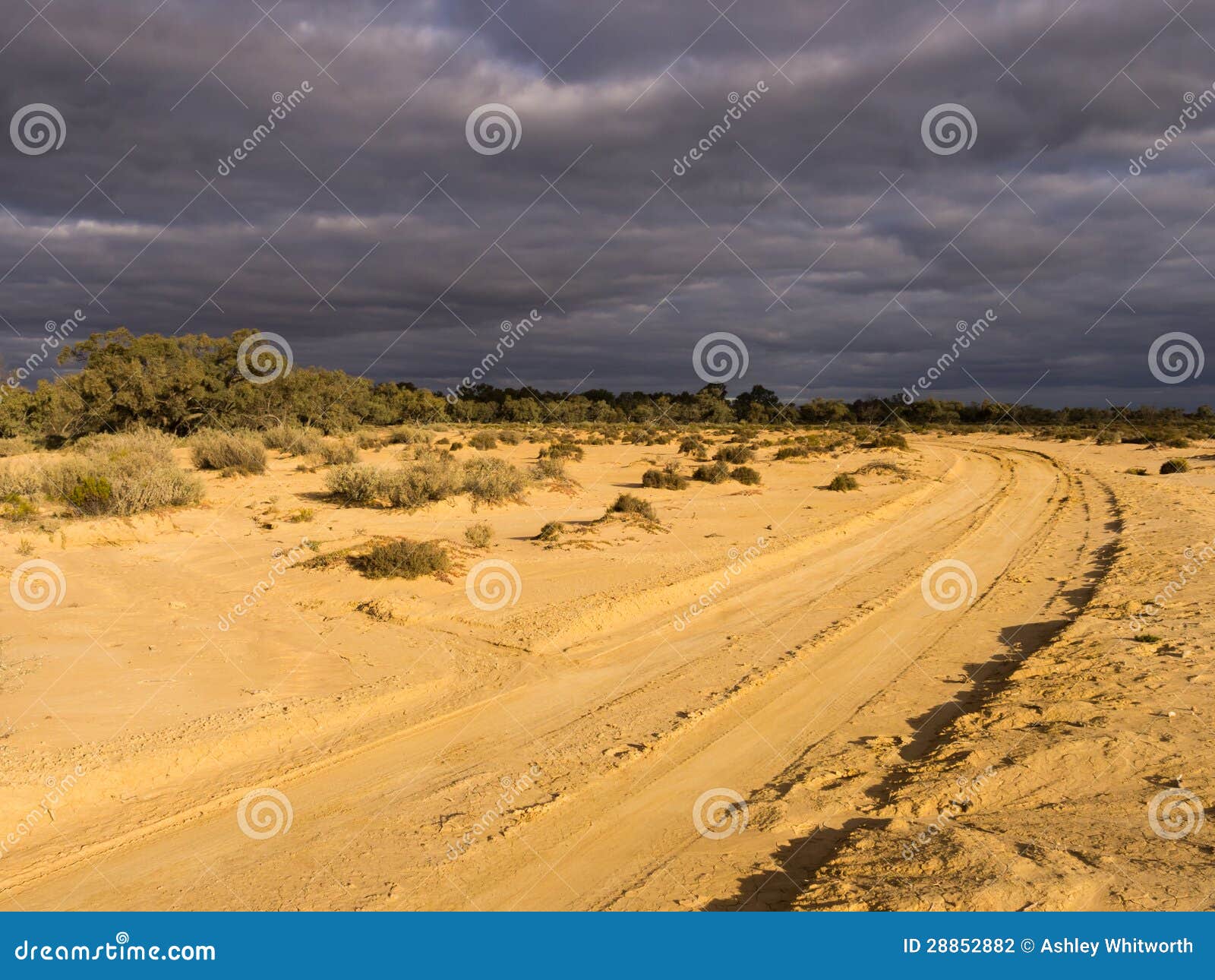 Desert Track stock photo. Image of sand, storm, nature - 28852882