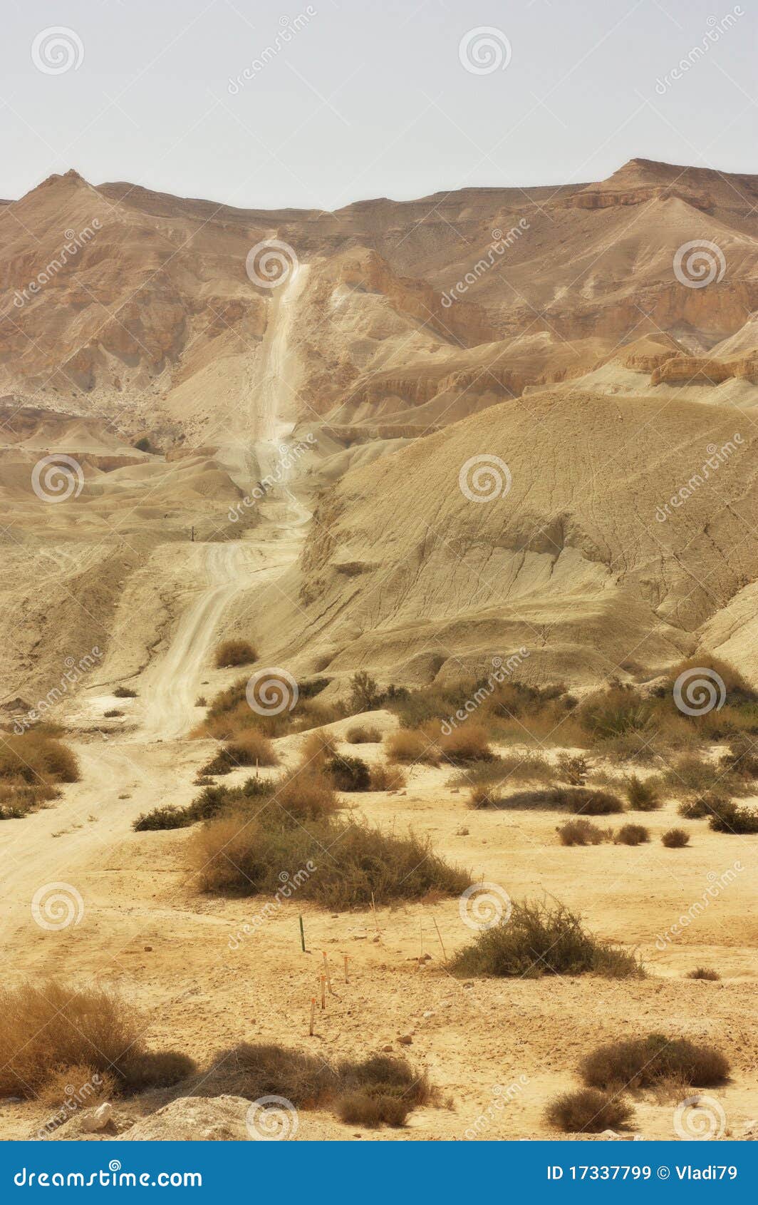 Desert trail stock image. Image of colorful, mountain - 17337799