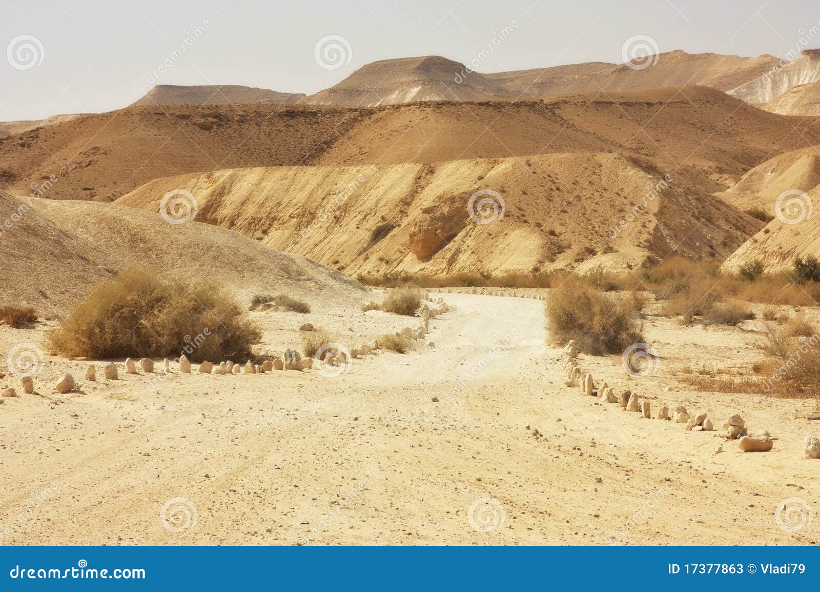 Desert trail stock image. Image of environment, beauty - 17377863
