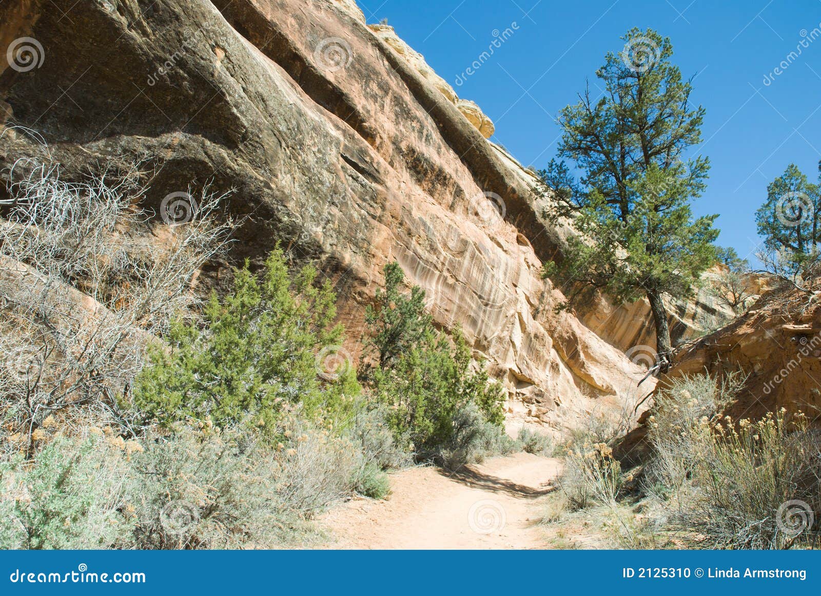 Desert Trail stock photo. Image of scenic, sage, blue - 2125310