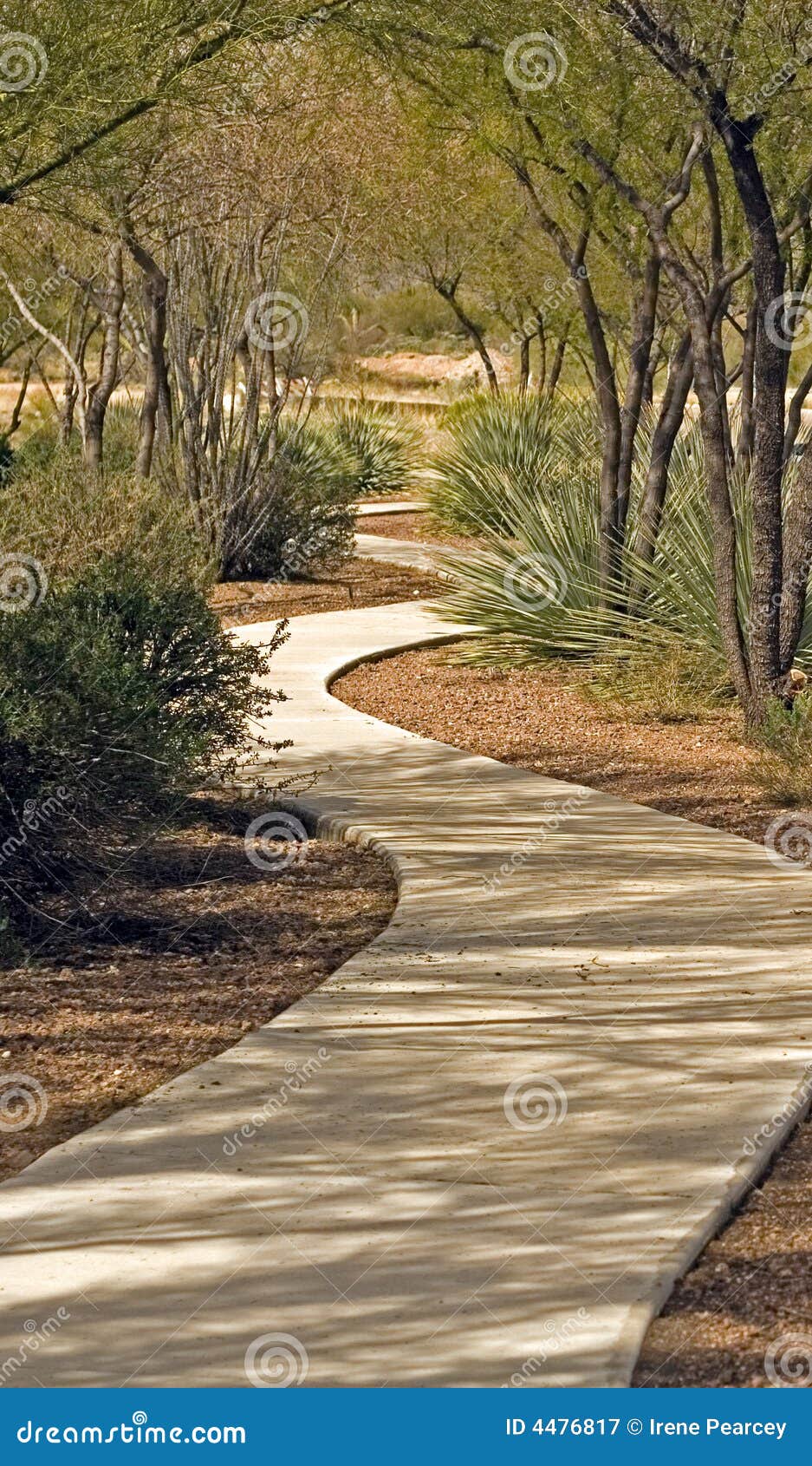 Desert Trail stock image. Image of travel, concrete, shadows - 4476817